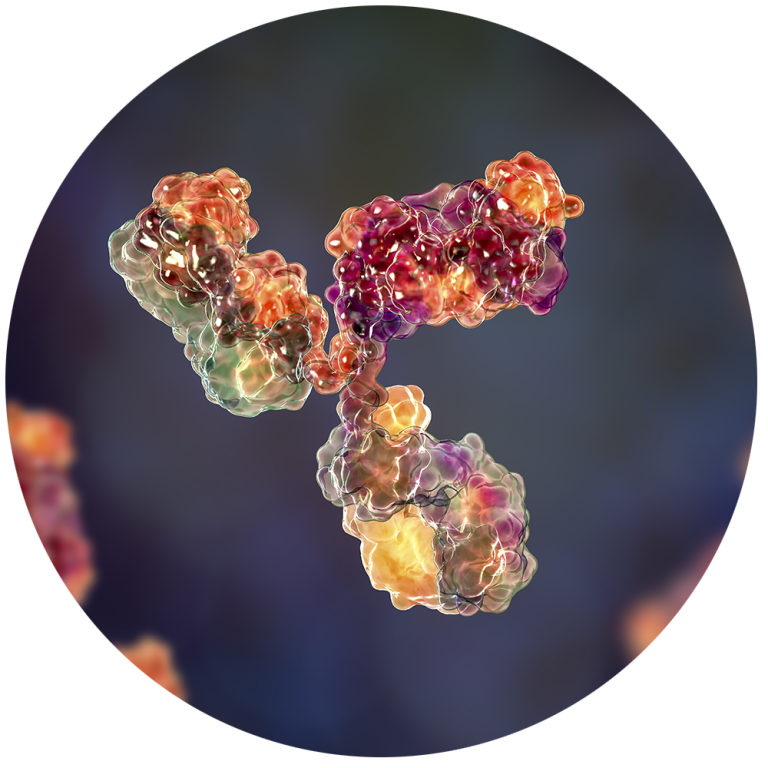 Immunology - Tonix Pharmaceuticals